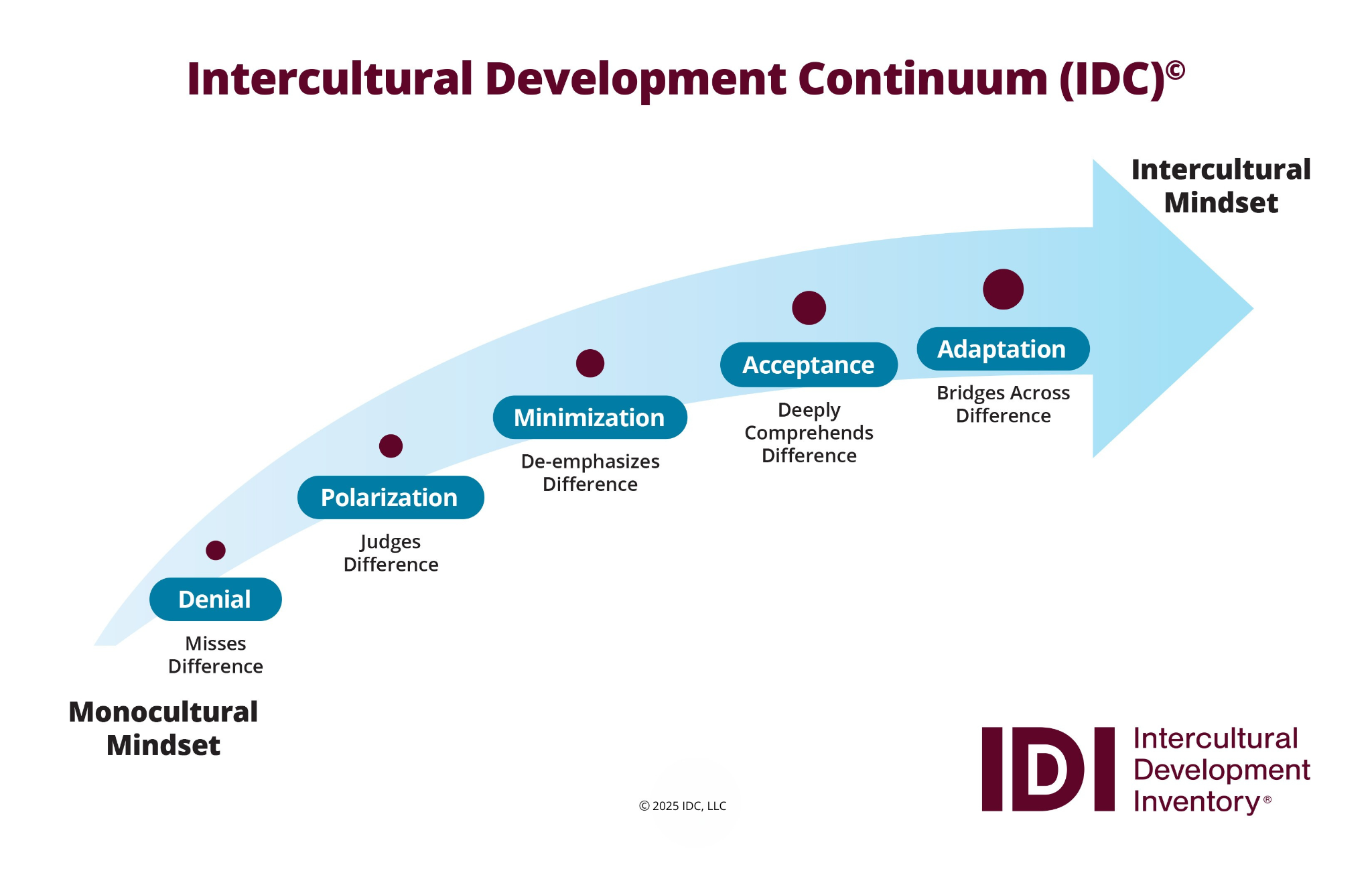 IDI Branding & Style Guide – IDI, LLC